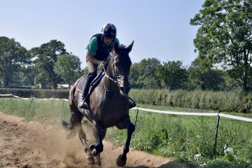 Horses in Training | Harry Fry Racing, Racehorse Trainer