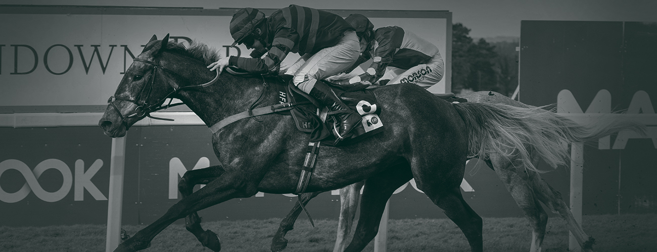 News | Harry Fry Racing, Racehorse Trainer