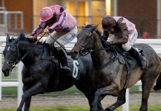 Harry Fry Racing | Racehorse Trainer at Higher Crockermoor, Dorset