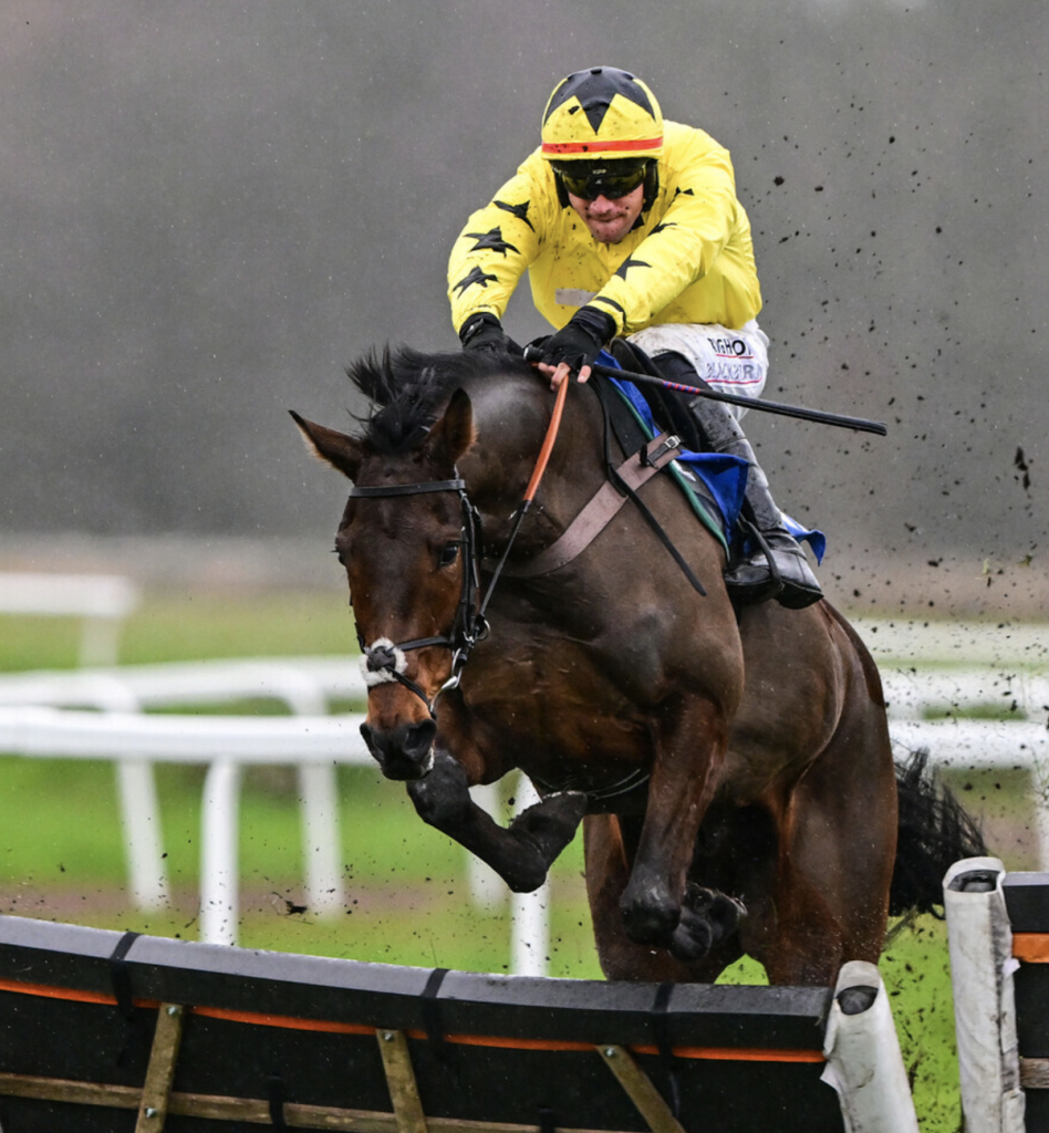 HOW WILL I KNOW STARTS 2023 WITH A WINNER | Harry Fry Racing, Racehorse ...