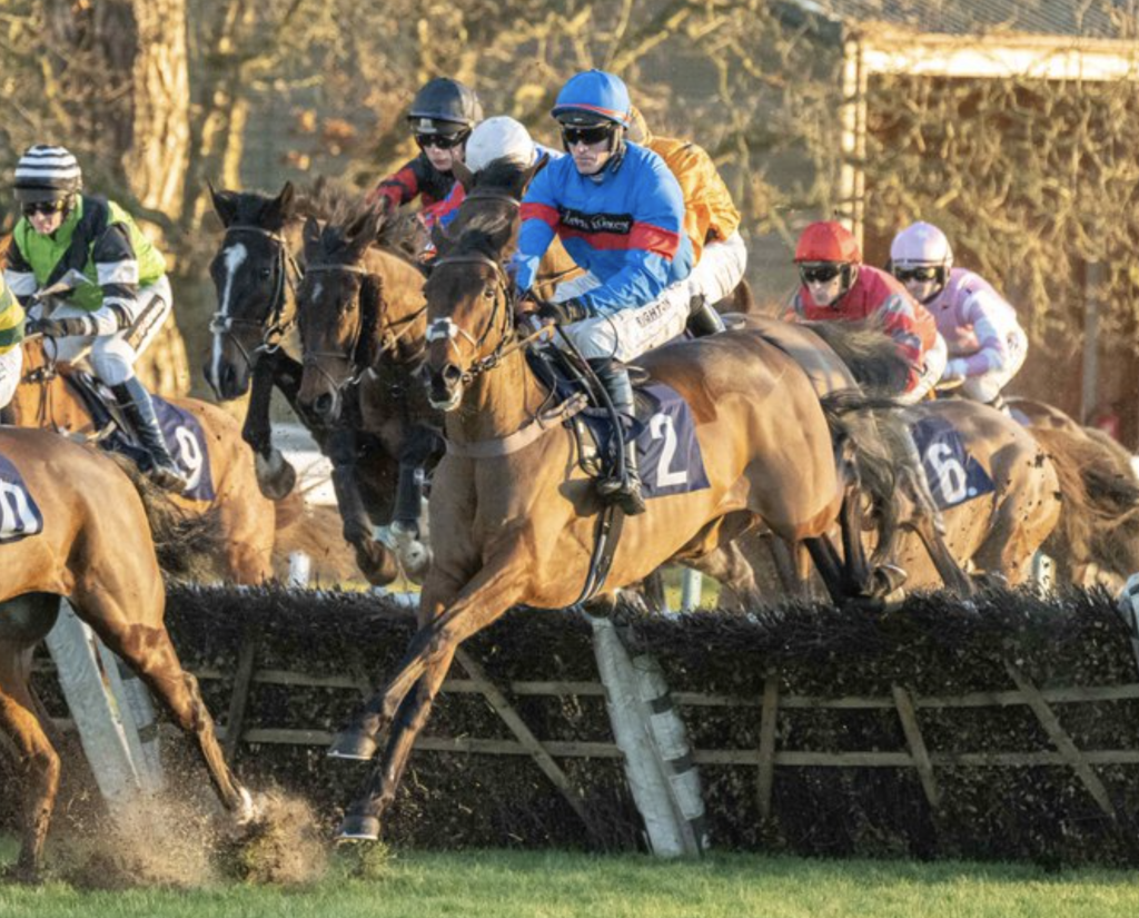 SECOND SUCCESS FOR MONJULES AT FONTWELL | Harry Fry Racing, Racehorse ...