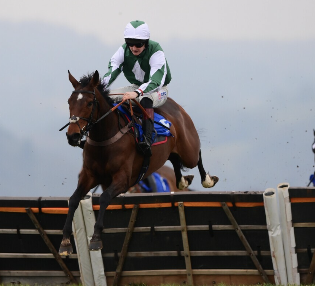 HAY THERE MONA OFF THE MARK | Harry Fry Racing, Racehorse Trainer