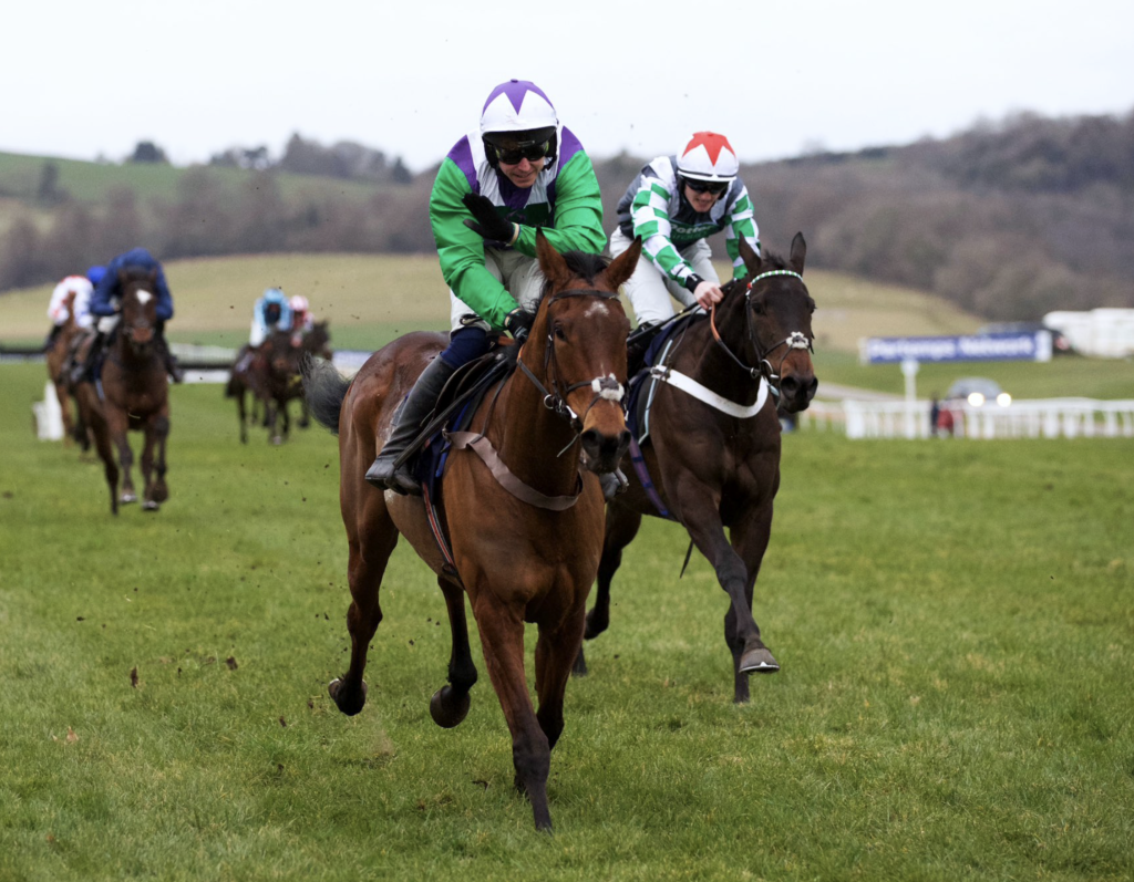 BEAT THE BAT SCORES AT CHEPSTOW | Harry Fry Racing, Racehorse Trainer