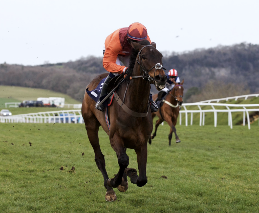 GIDLEIGH PARK OFF THE MARK ON DEBUT | Harry Fry Racing, Racehorse Trainer