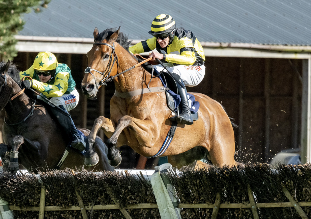 HOT ROD LINCOLN GAINS FIRST WIN | Harry Fry Racing, Racehorse Trainer