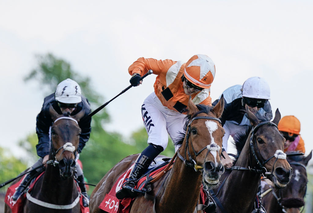 METIER SEALS CHESTER CUP SUCCESS | Harry Fry Racing, Racehorse Trainer