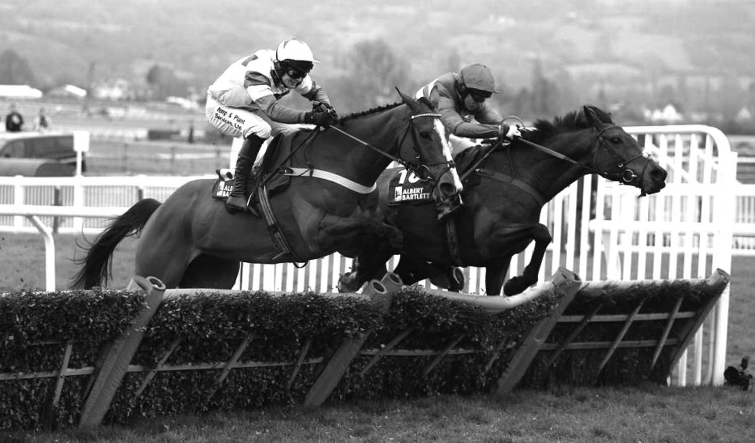 Harry Fry Racing Syndicate - Miss Goldfire | Harry Fry Racing ...