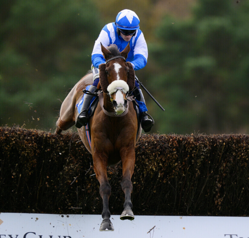 TEAM DOUBLE AT EXETER | Harry Fry Racing, Racehorse Trainer