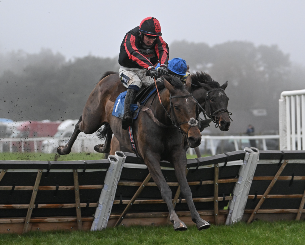 DANTON SECURES FIRST SUCCESS AT EXETER | Harry Fry Racing, Racehorse ...