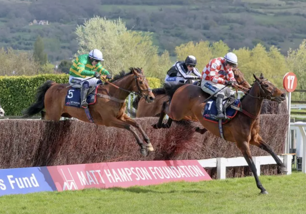 DOUBLE DELIGHT AT CHELTENHAM | Harry Fry Racing, Racehorse Trainer