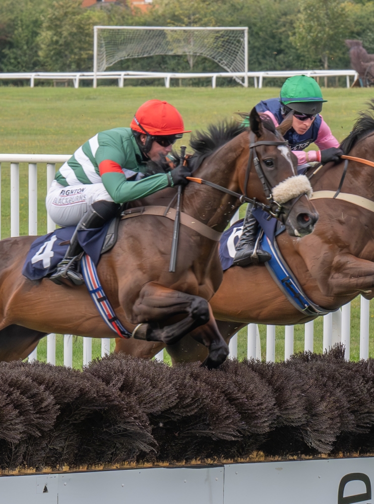 News | Harry Fry Racing, Racehorse Trainer