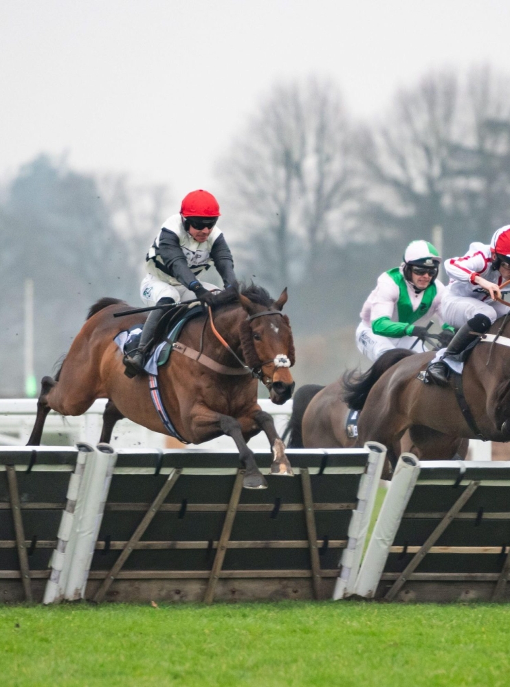 News | Harry Fry Racing, Racehorse Trainer