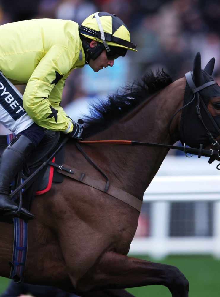 News | Harry Fry Racing, Racehorse Trainer