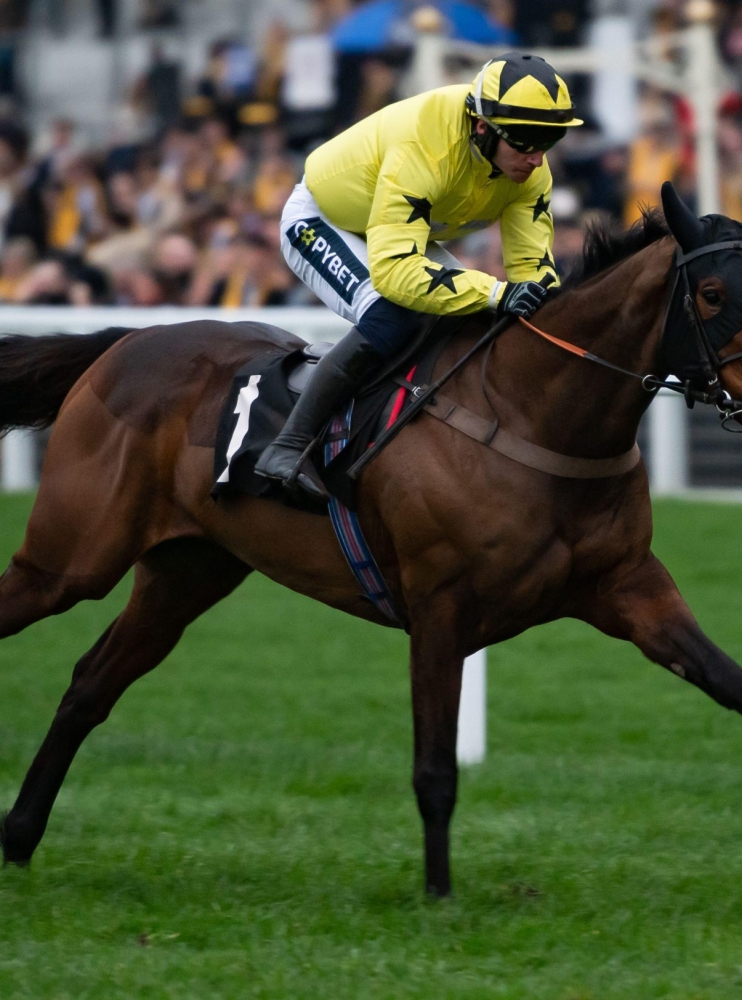 News | Harry Fry Racing, Racehorse Trainer