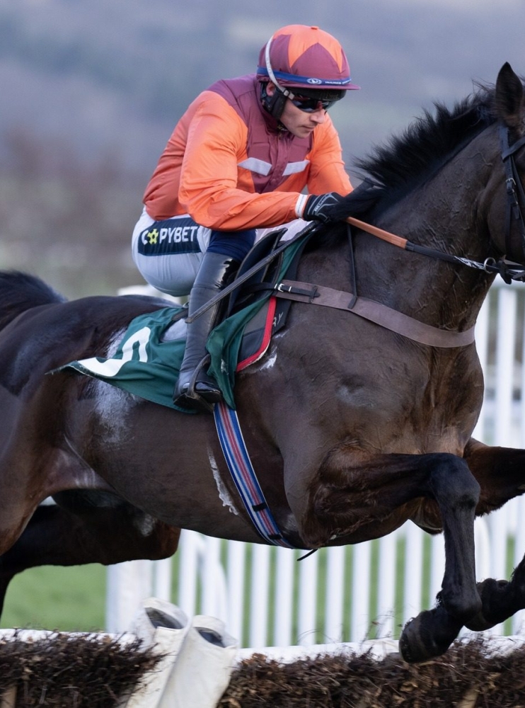 News | Harry Fry Racing, Racehorse Trainer