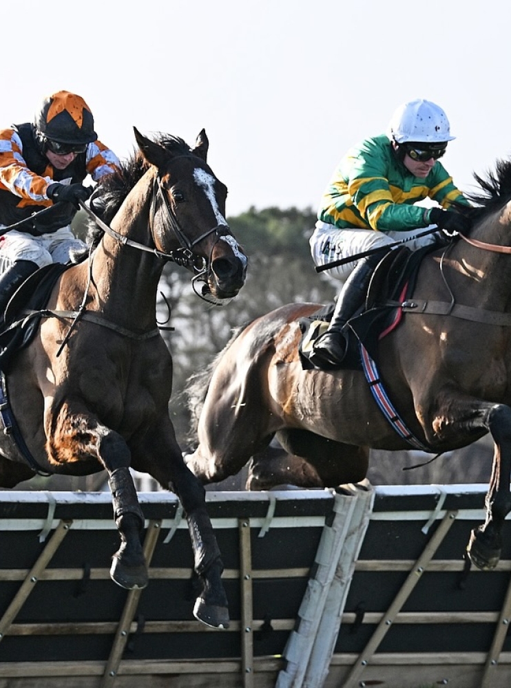 News | Harry Fry Racing, Racehorse Trainer