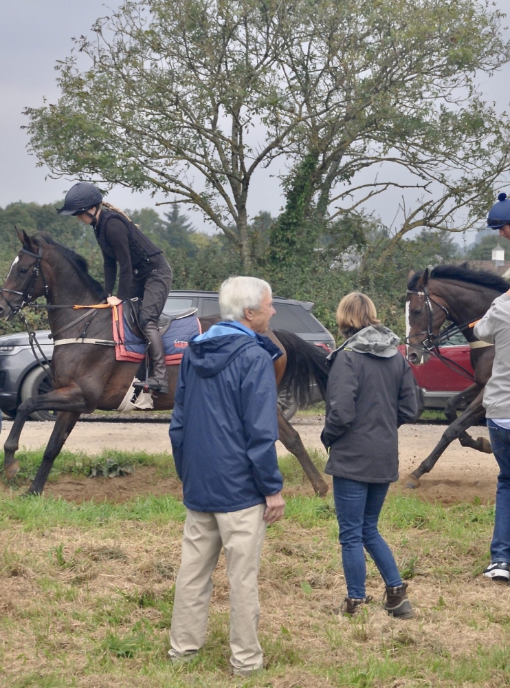 News | Harry Fry Racing, Racehorse Trainer