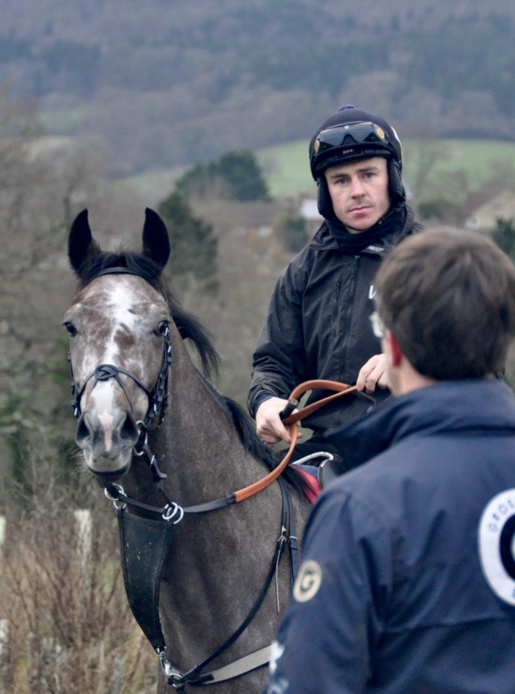 News | Harry Fry Racing, Racehorse Trainer