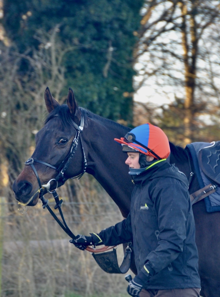 News | Harry Fry Racing, Racehorse Trainer