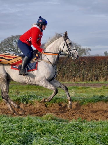 News | Harry Fry Racing, Racehorse Trainer