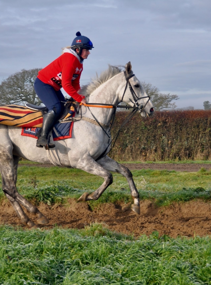 News | Harry Fry Racing, Racehorse Trainer