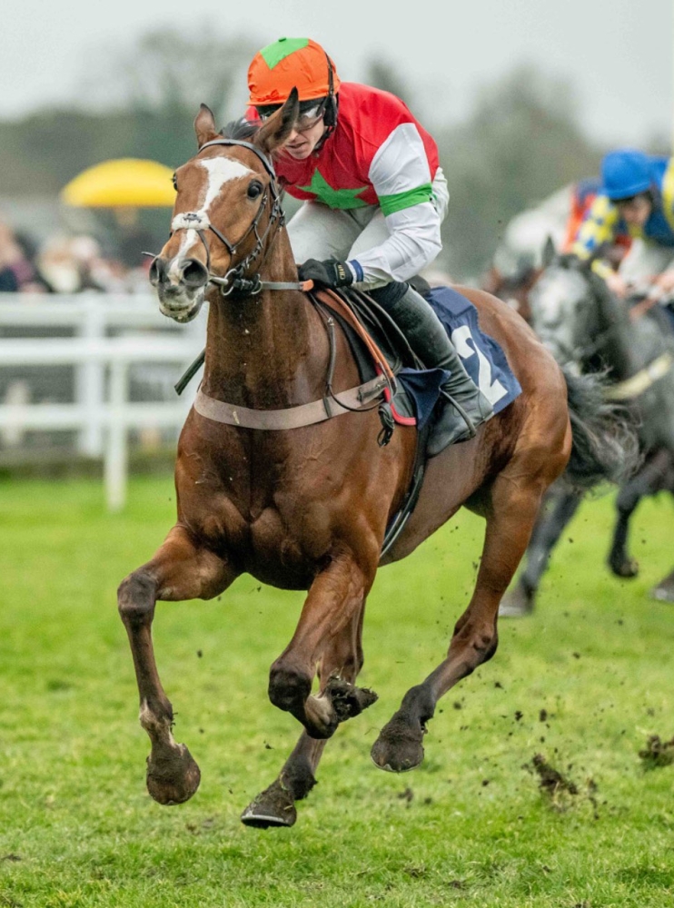 News | Harry Fry Racing, Racehorse Trainer