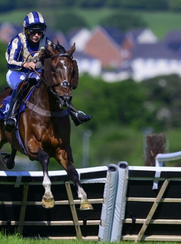 News | Harry Fry Racing, Racehorse Trainer