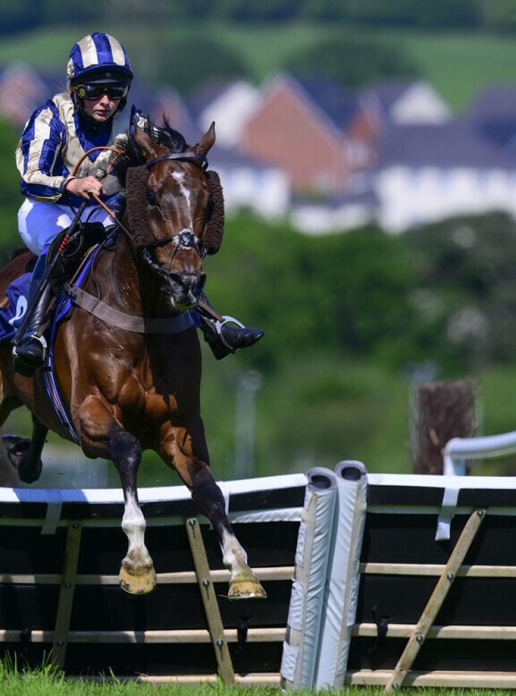 News | Harry Fry Racing, Racehorse Trainer