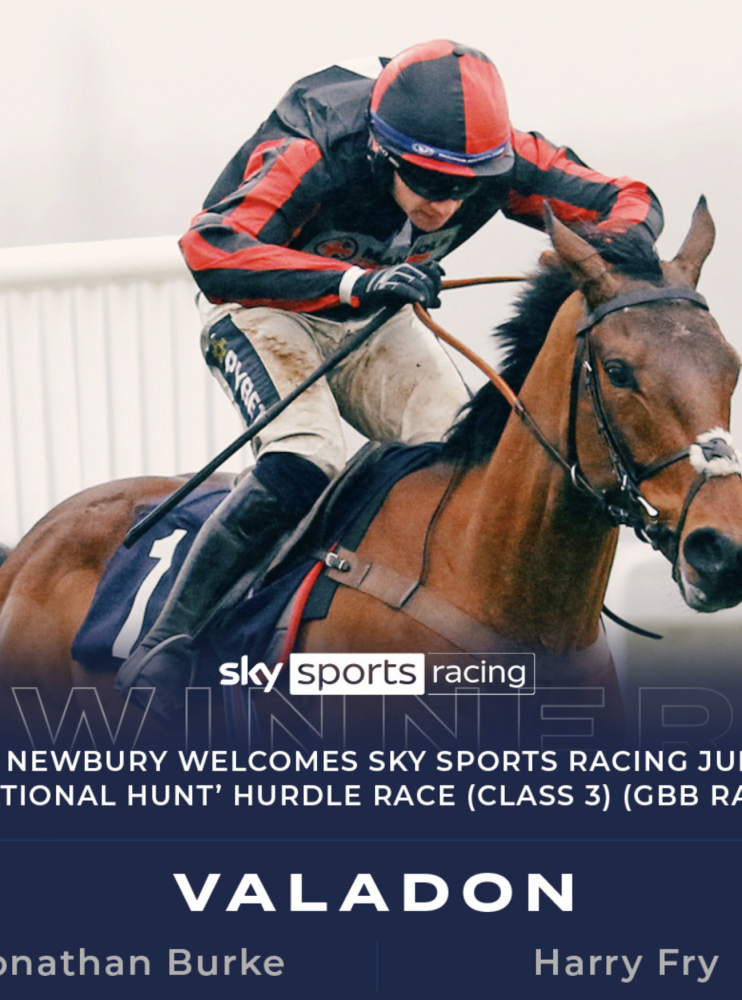 News | Harry Fry Racing, Racehorse Trainer