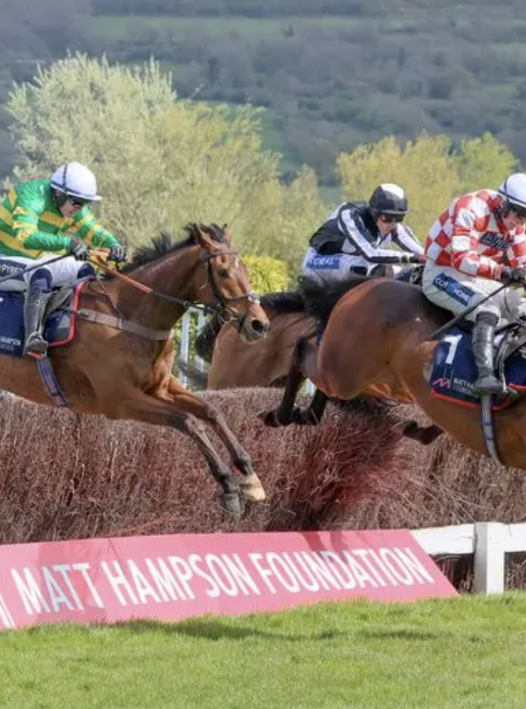 News | Harry Fry Racing, Racehorse Trainer